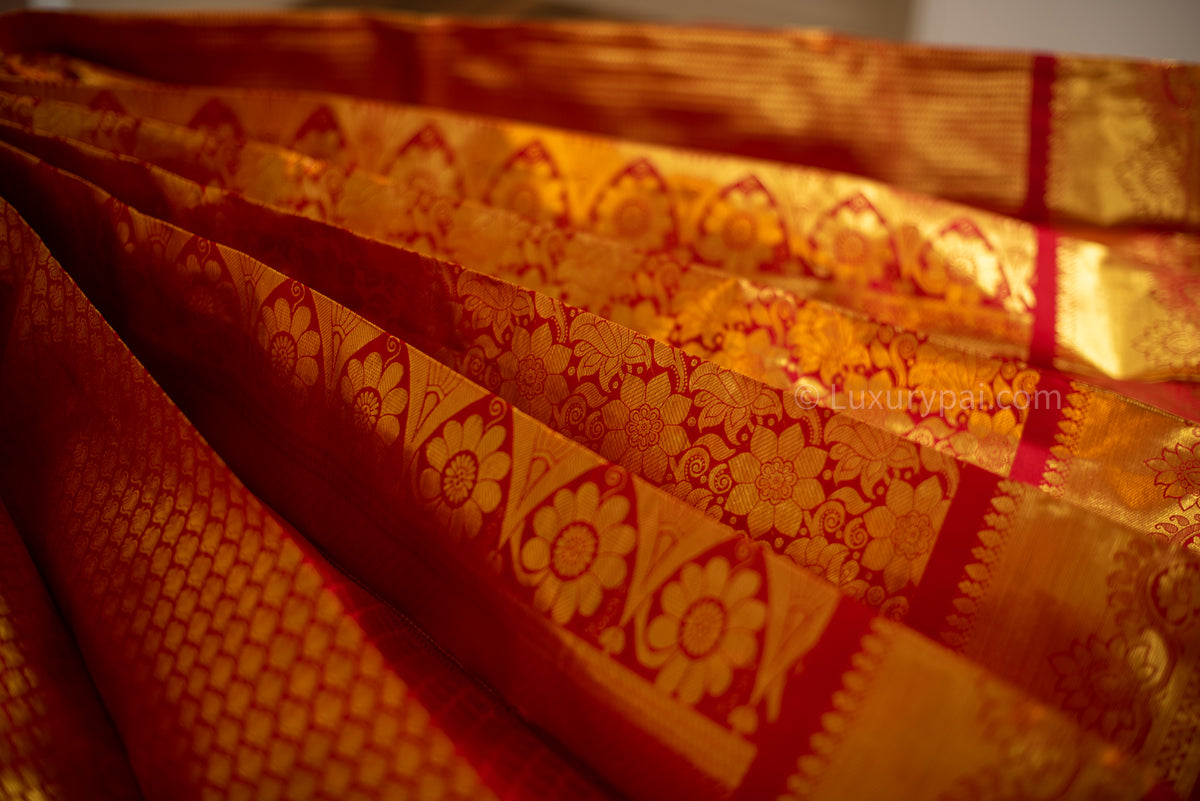 Stunning Tomato Red Kanchipuram Pattu Saree with Exquisite Betel Leave ...